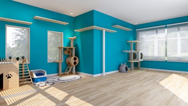 Creating a Cat-Friendly Home | Carmichael, CA | Sacramento Cat Hospital